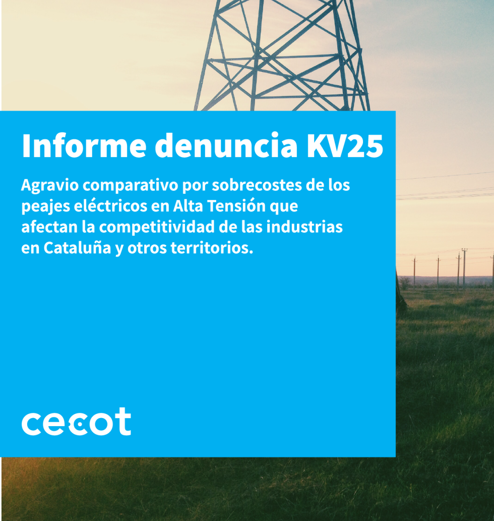 Cecot - Informe de denuncia kV25